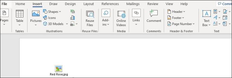 Add the picture as an icon in the Microsoft Word document ...
