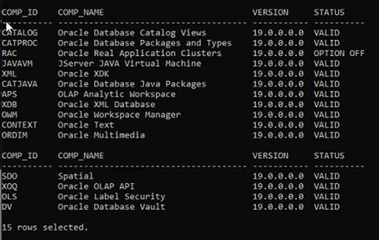 Steps for patching in standalone database Oracle 19c in Windows ...