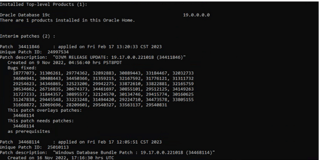 Steps for patching in standalone database Oracle 19c in Windows platform | SmartTechWays ...