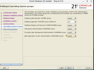 Step-by-Step Guide to Install Oracle 21c on Linux | SmartTechWays ...